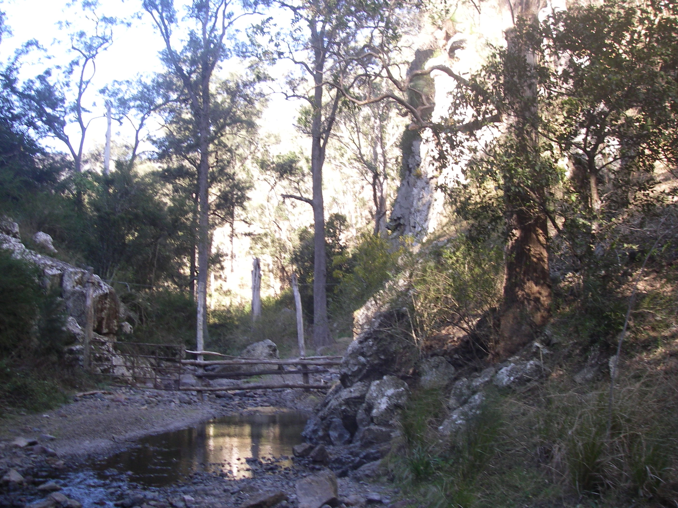 Brumby pass | by map and compass