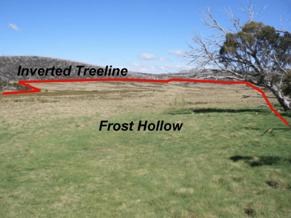 Exploring Long Plain: Landscape, History, and Wildlife in Kosciuszko ...