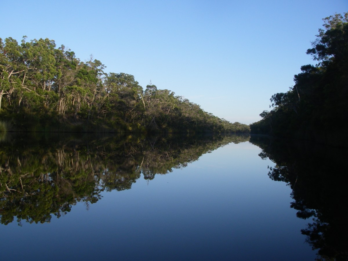 Bushwalking on Water: the Upper Noosa River | by map and compass