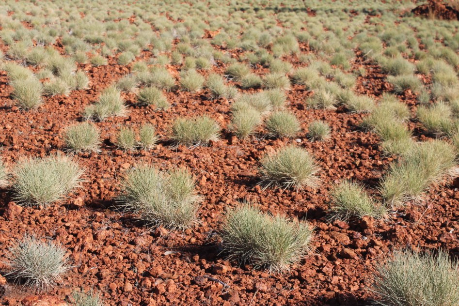 Mt Meharry: WA’s Highest Mountain | by map and compass
