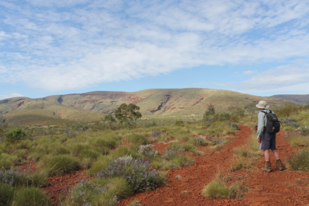 Mt Meharry: WA’s Highest Mountain | by map and compass