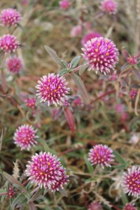 Mt Meharry: WA’s Highest Mountain | by map and compass