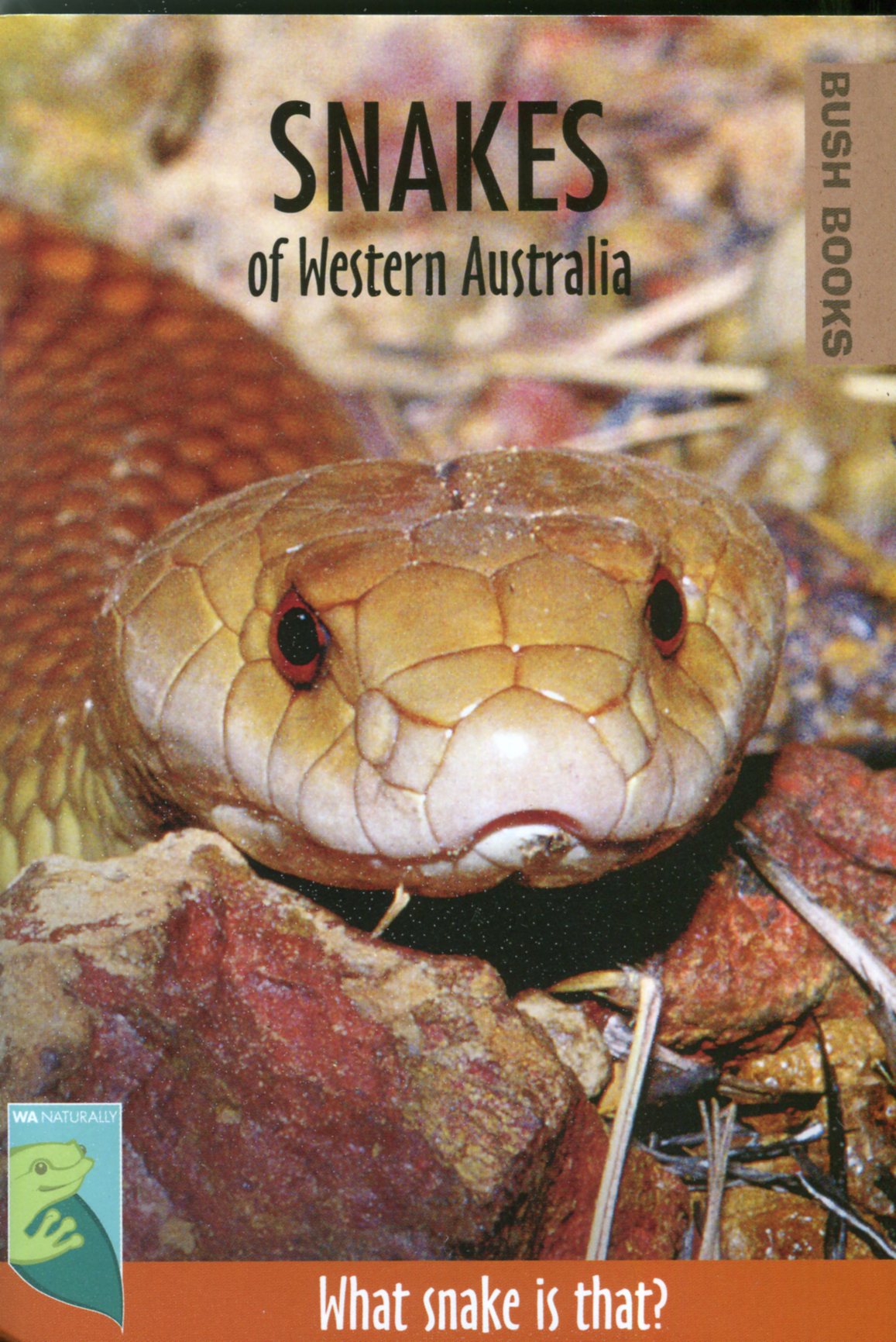 Hiking the Southern Bibbulmun Track | by map and compass