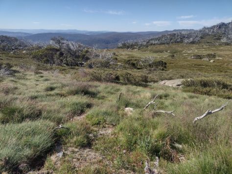 Snowies Alpine Walk: Perisher to Bullocks Flat. | by map and compass